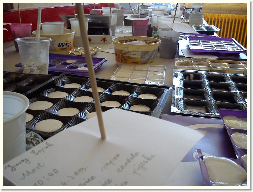 Ivan Barić - Aktivnosti tijekom godine